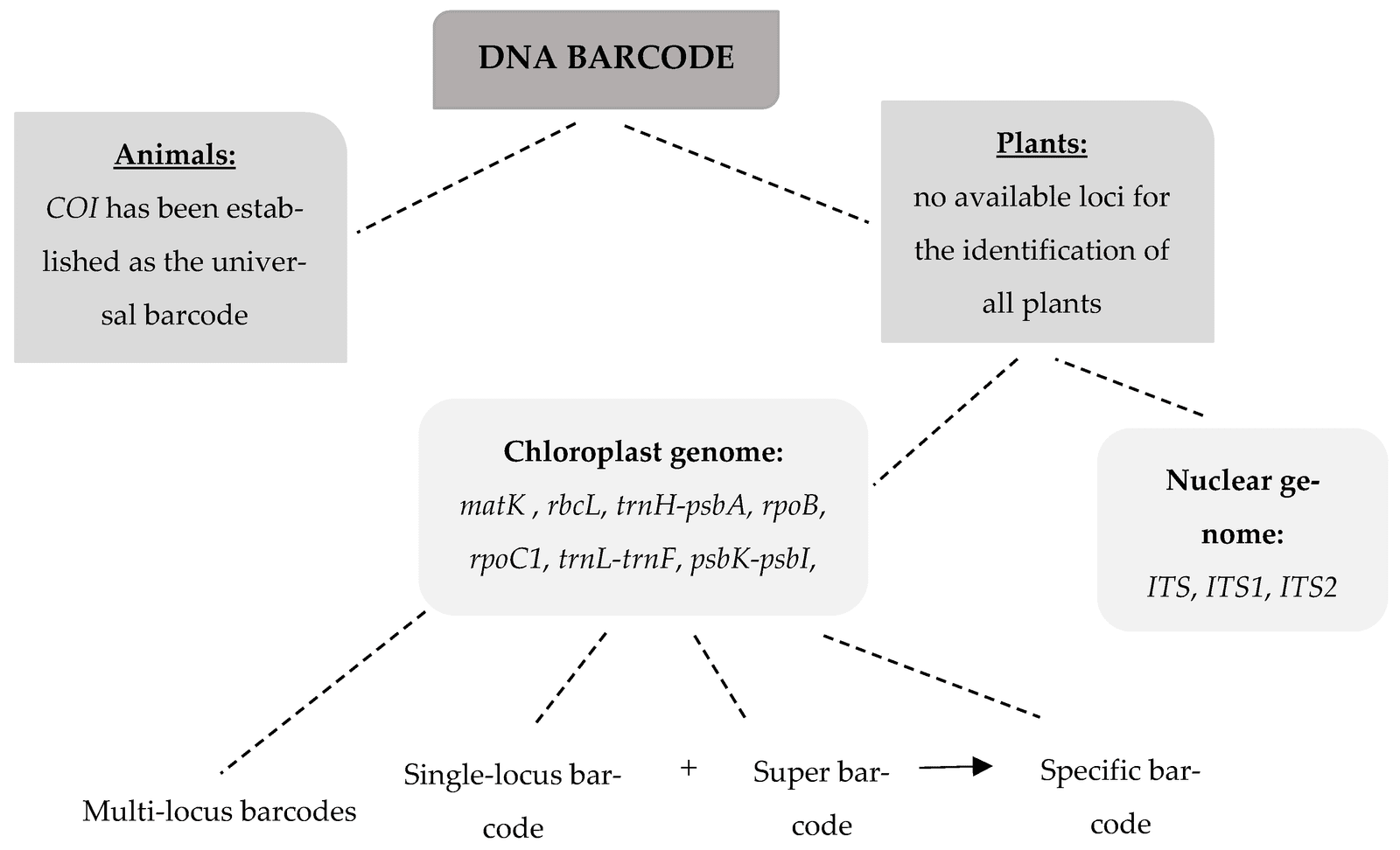 Dna Barcoding Techniques Principles And Uses Upsc Quest Your Pathway To Success One Test