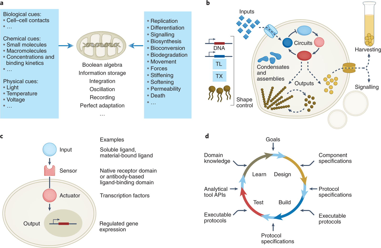 Synthetic Biology: Designing and constructing new biological systems ...